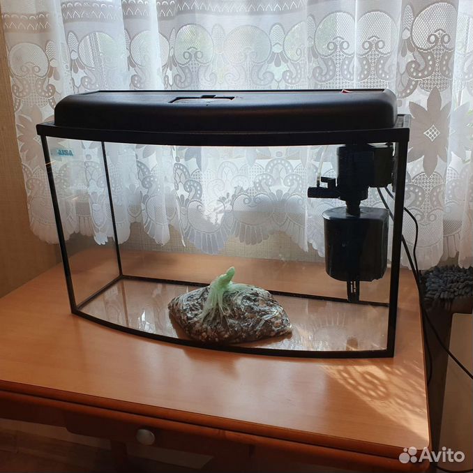 Аквариум на 45л