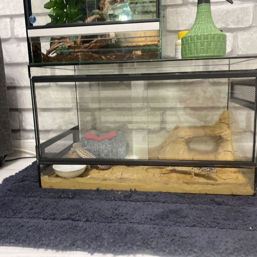 Террариум для эублефара с рельефом