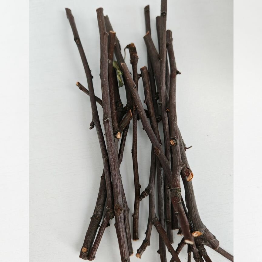 Сушёные веточки Яблони, малины. Погрызушки