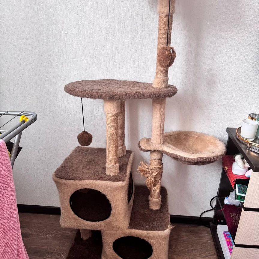 Когтеточка домик для кошки бу