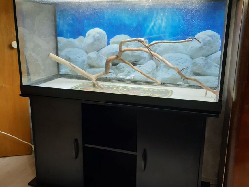 Аквариум на 350 л. с тумбой