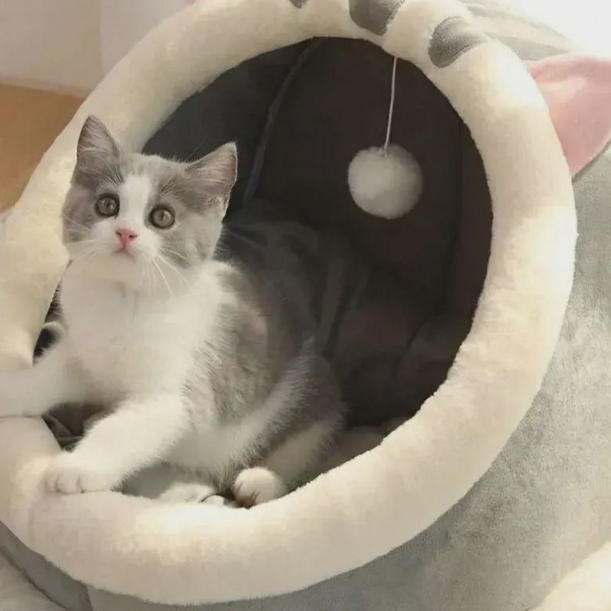 Домик лежанка новый