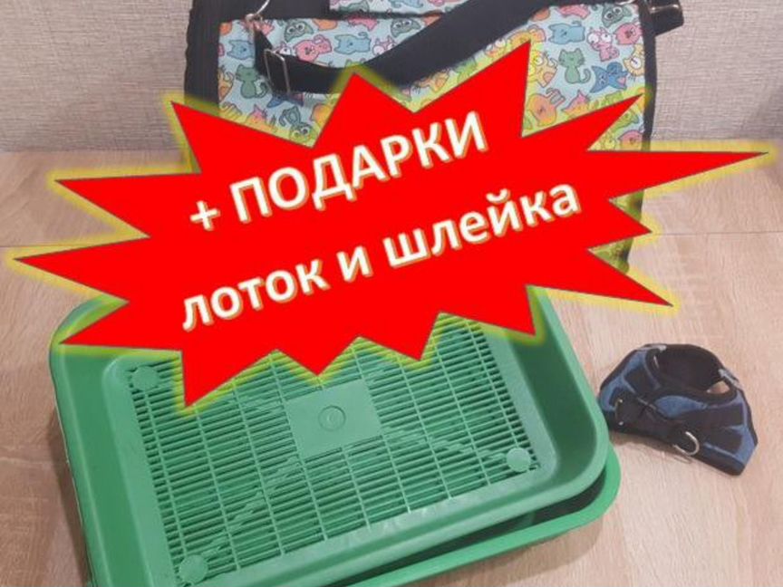 Сумка-переноска + подарки (лоток и шлейка)