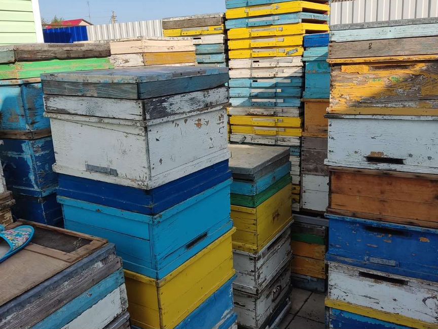 Продам ульи для пчел