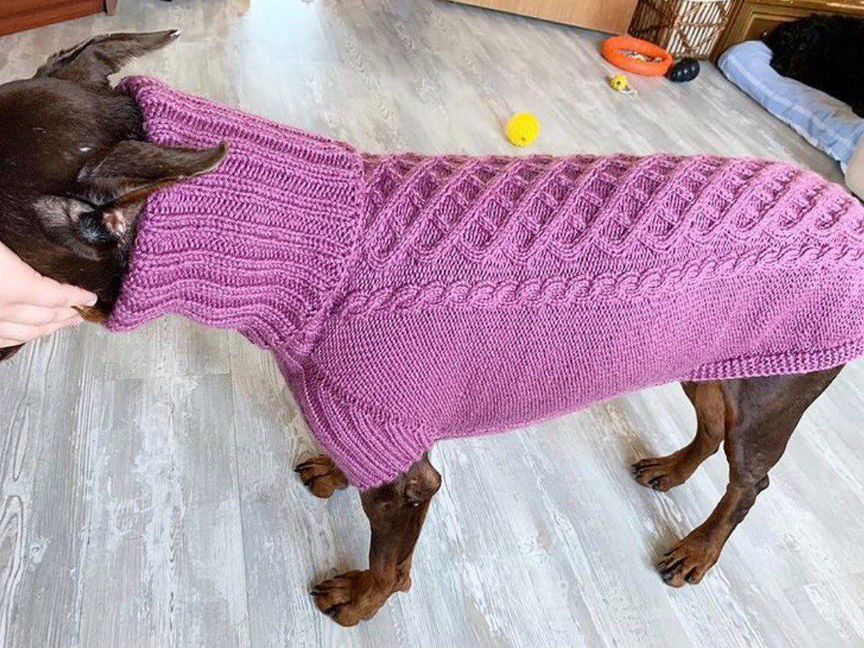 Свитер для собачки