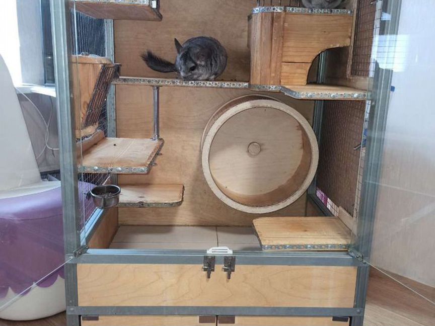 Витрина для шиншиллы
