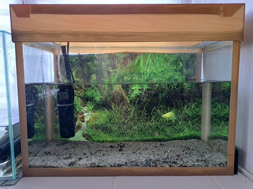 Аквариум с рыбками