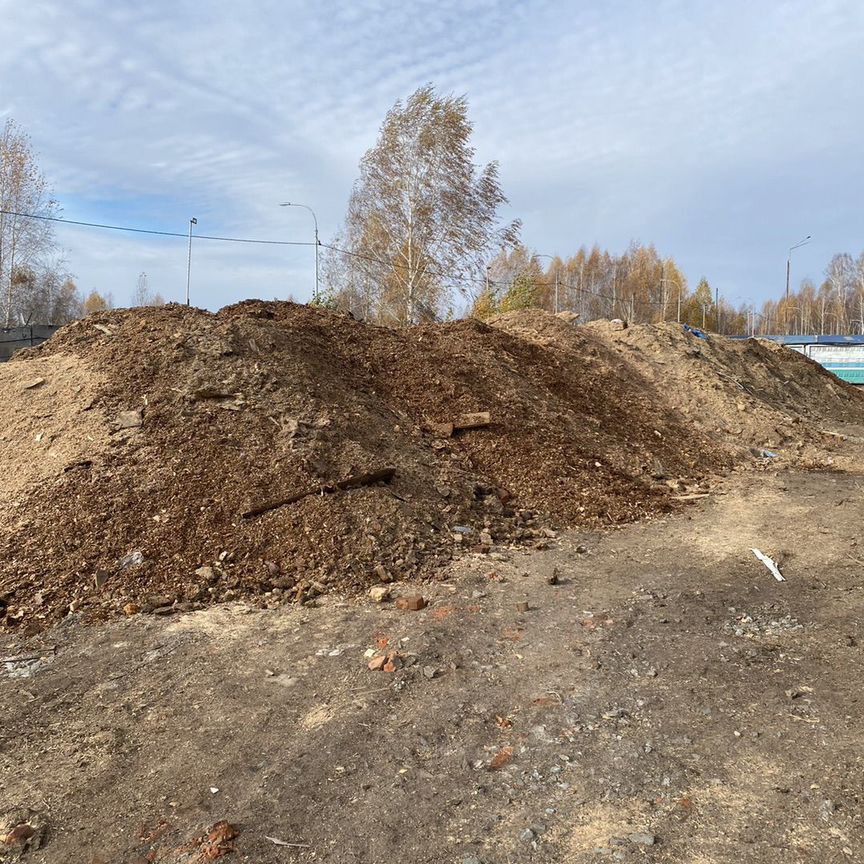 Опилки бесплатно