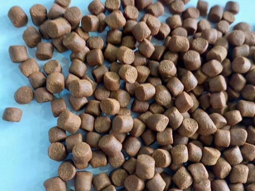 Корм для прудовых рыб