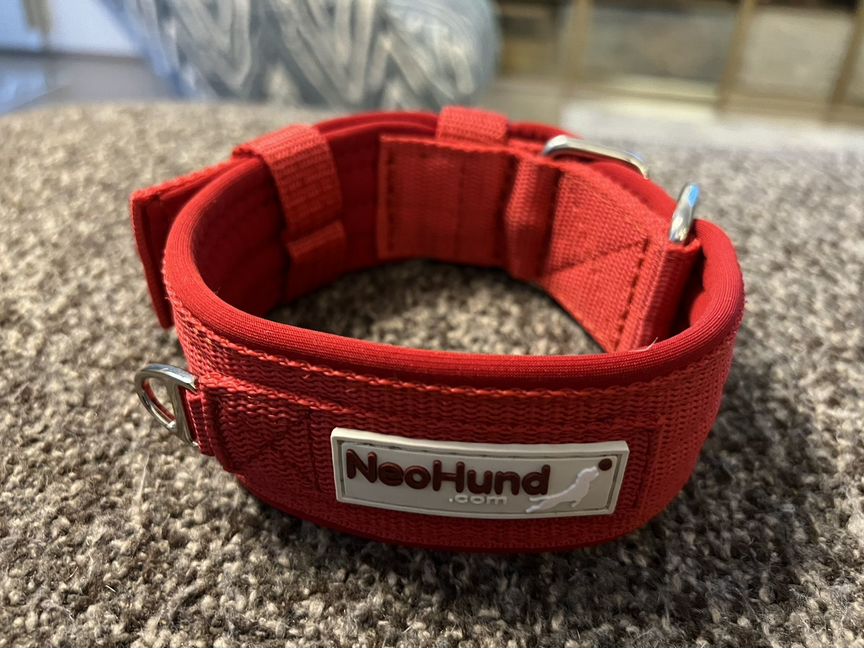 Ошейник Neohund For Motion
