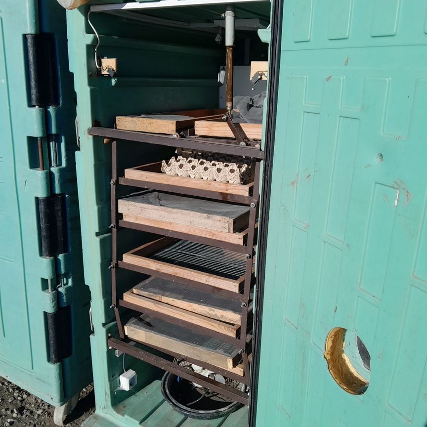 Инкубатор для яиц автоматический