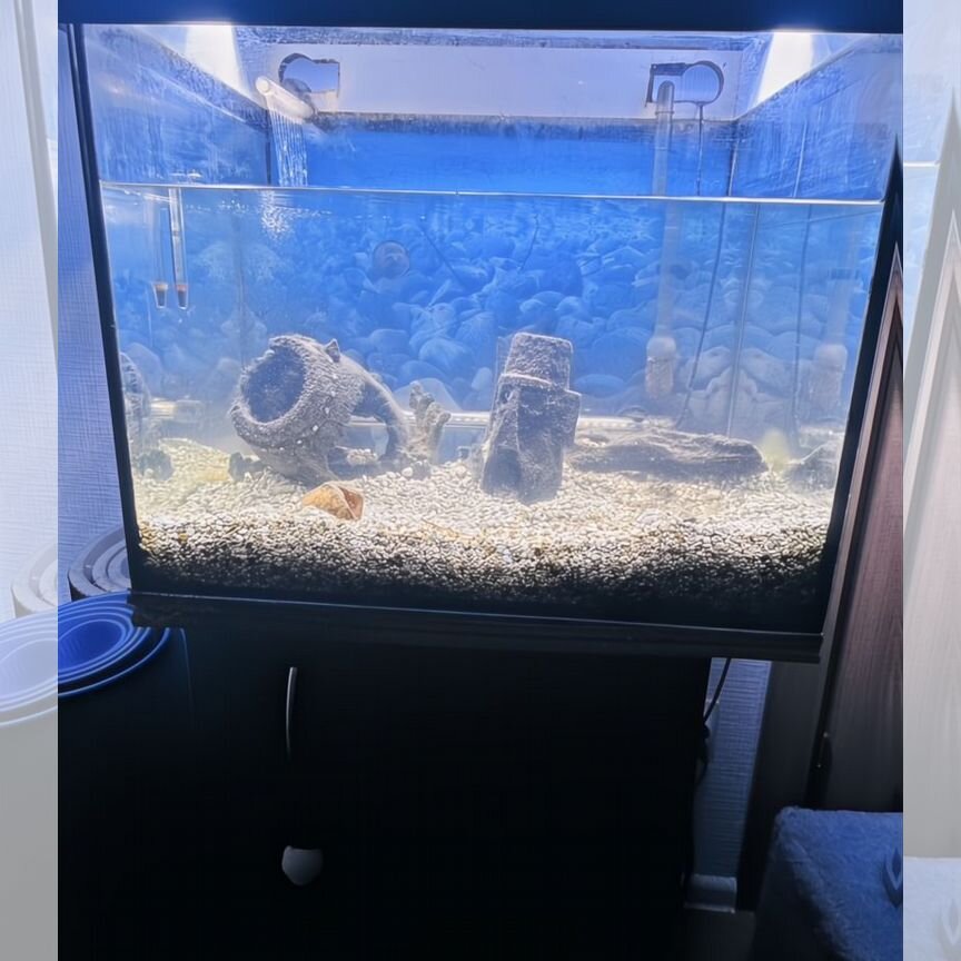 Аквариум с рыбками 60л