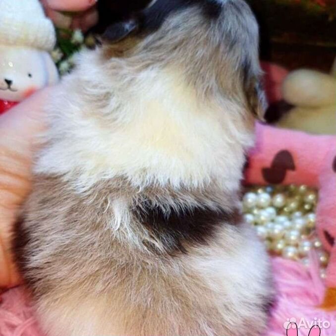 Эксклюзив супер микрик малыш медвежонок,доставка