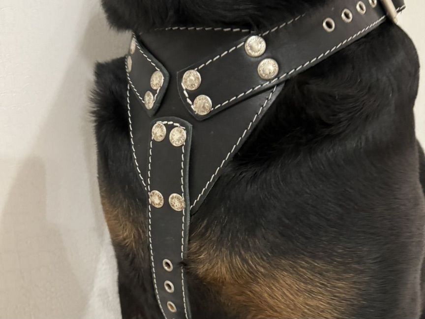 Шлейка для крупных собак натуральная кожа