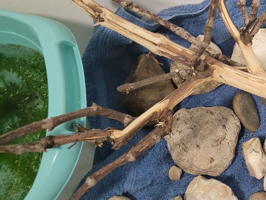 Набор для аквариума (декор)