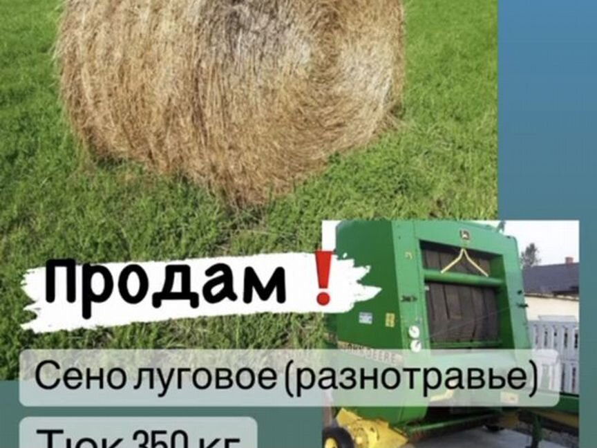 Сено в тюках 2023