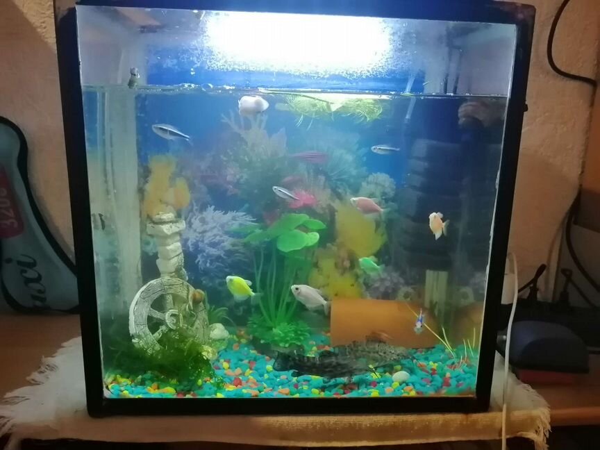 Аквариум