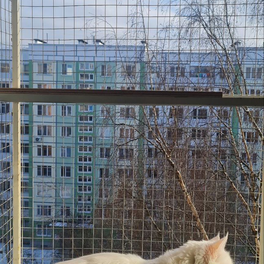 Балкон для выгула кошек