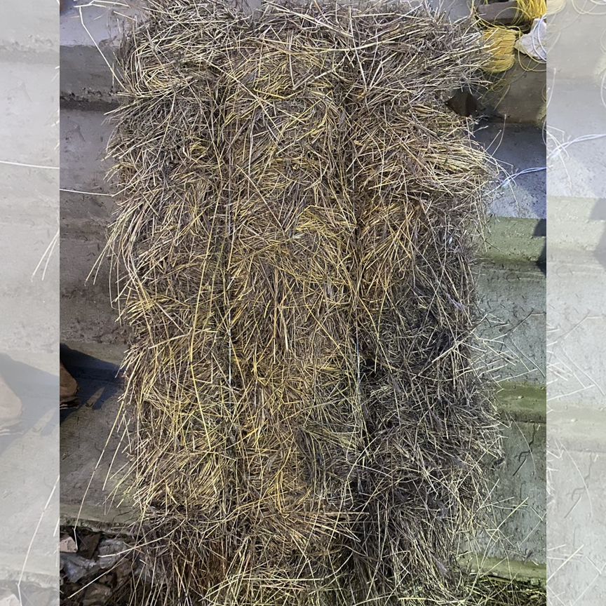 Сено в тюках