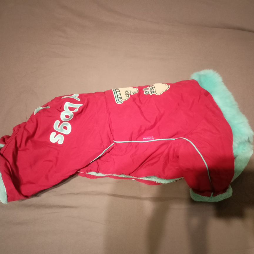 Одежда для собак мелких пород