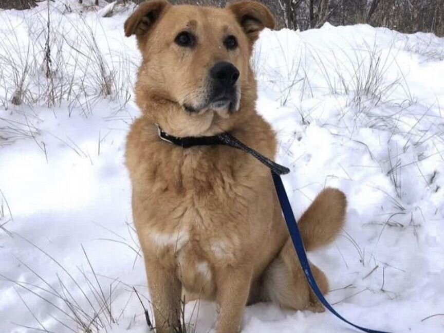 Самый милый и добрый парень Фред хочет домой