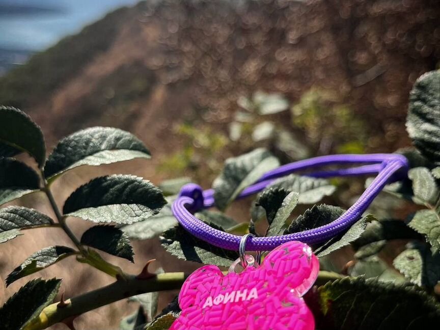 Адресник для собак