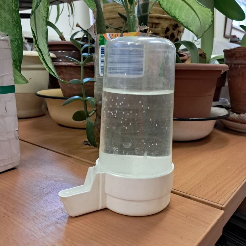 Поилка для птиц