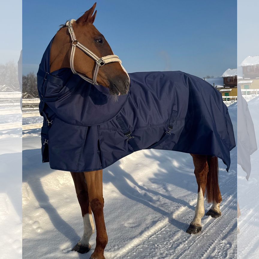 Попона прогулка 200g