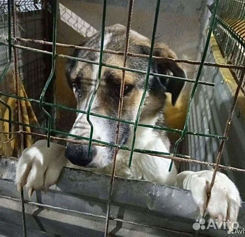 Заберите с Усыпалки