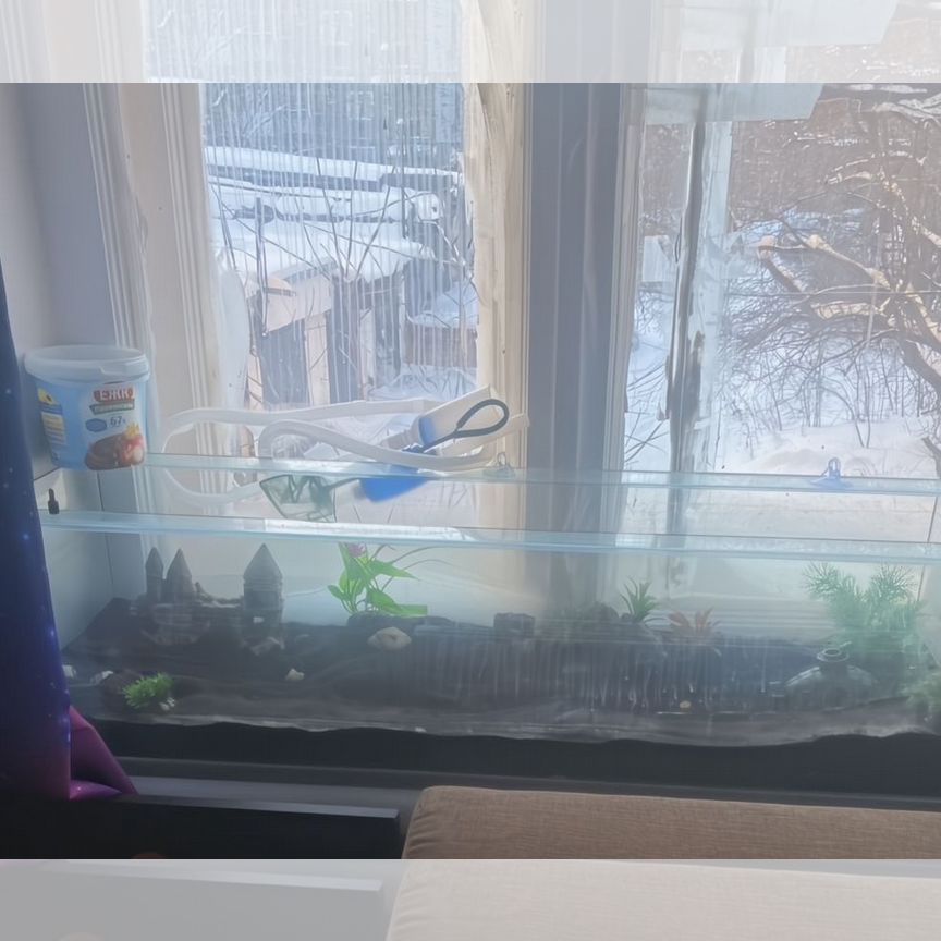 Аквариум на 60 литров