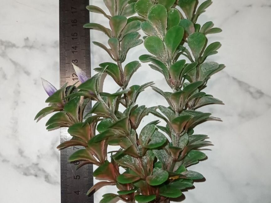 Искусственные растения для аквариума