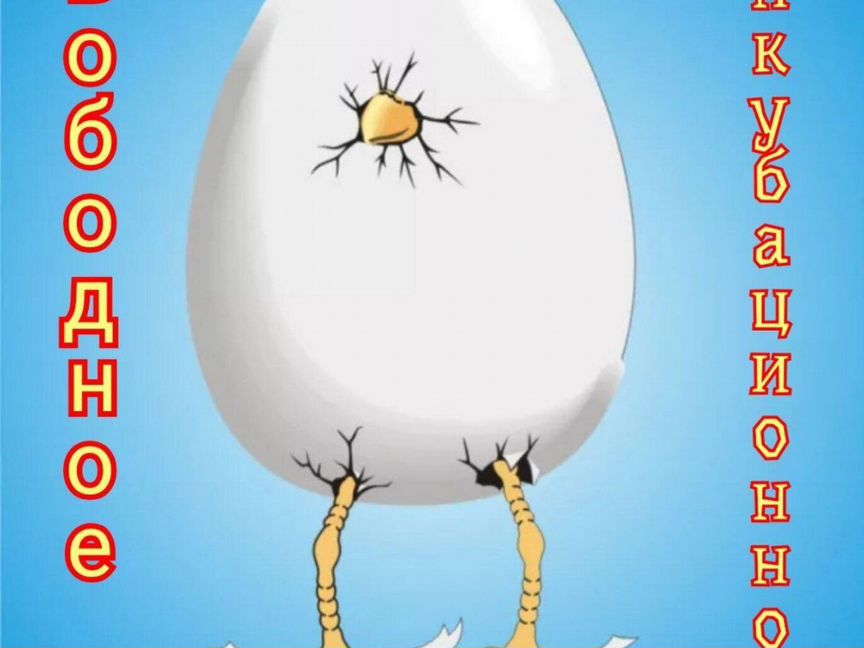 Инкубационное яйцо