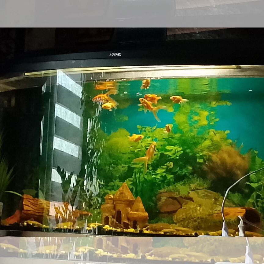 Аквариум aquael 185