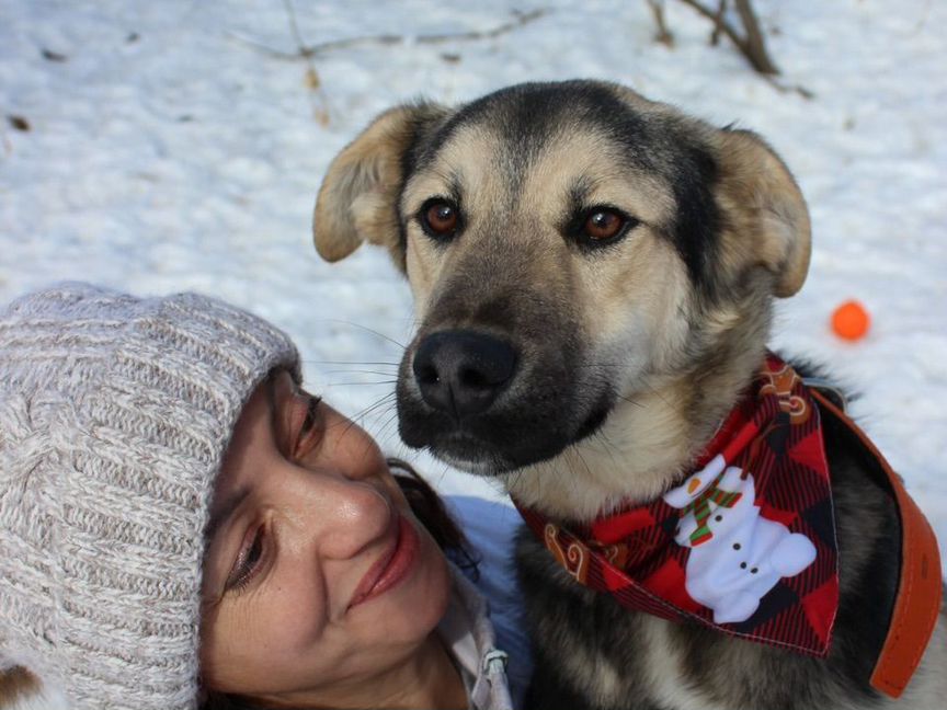 Молодой пес плачет в приюте