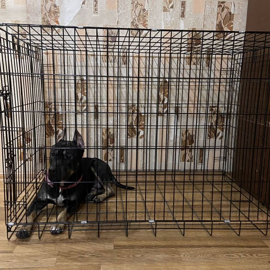 Вольер для собак в квартиру большой