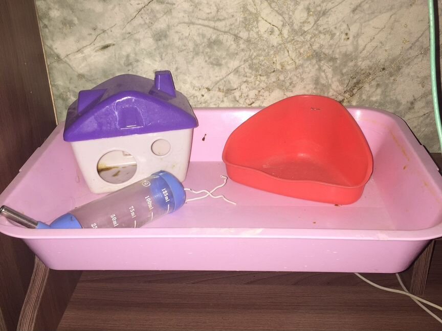 Лоток-переноска доя животных с аксессуарами