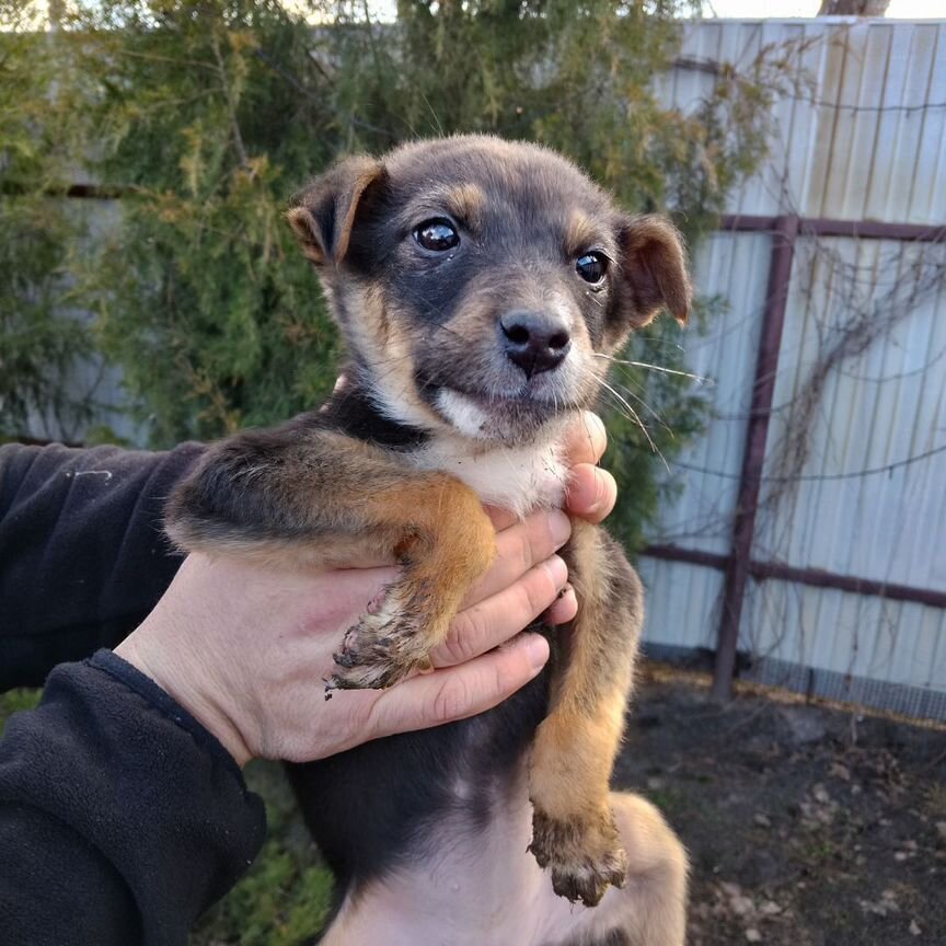 Спасите малышку