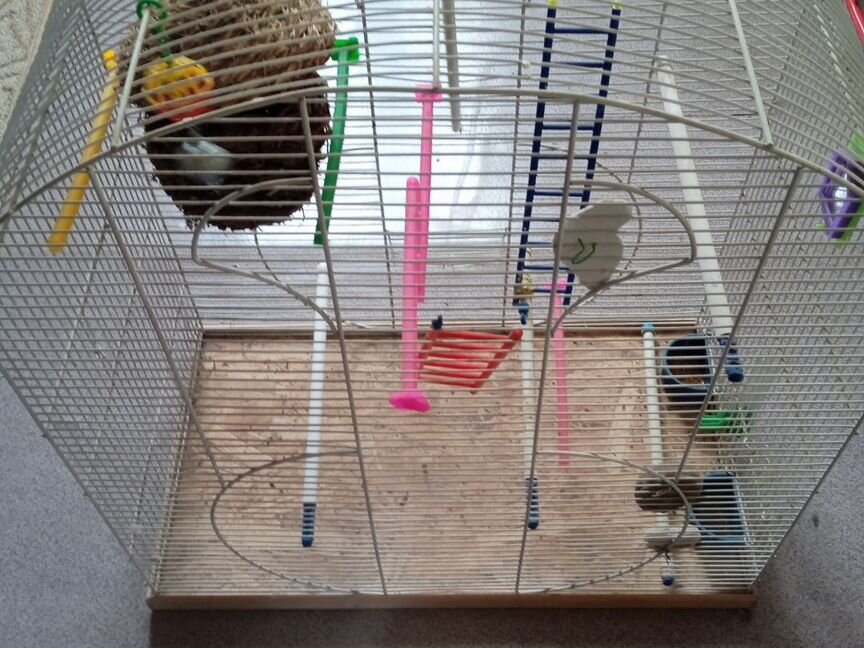 Клетка для попугая