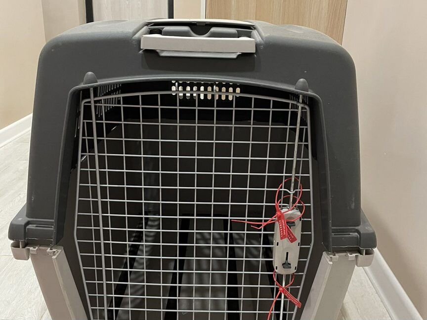 Переноска для большой собаки