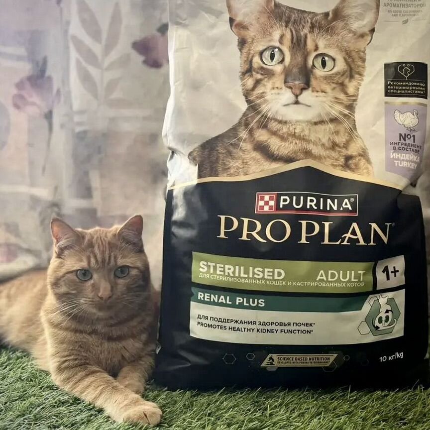 Корм сухой Pro Plan sterilised renal plus
