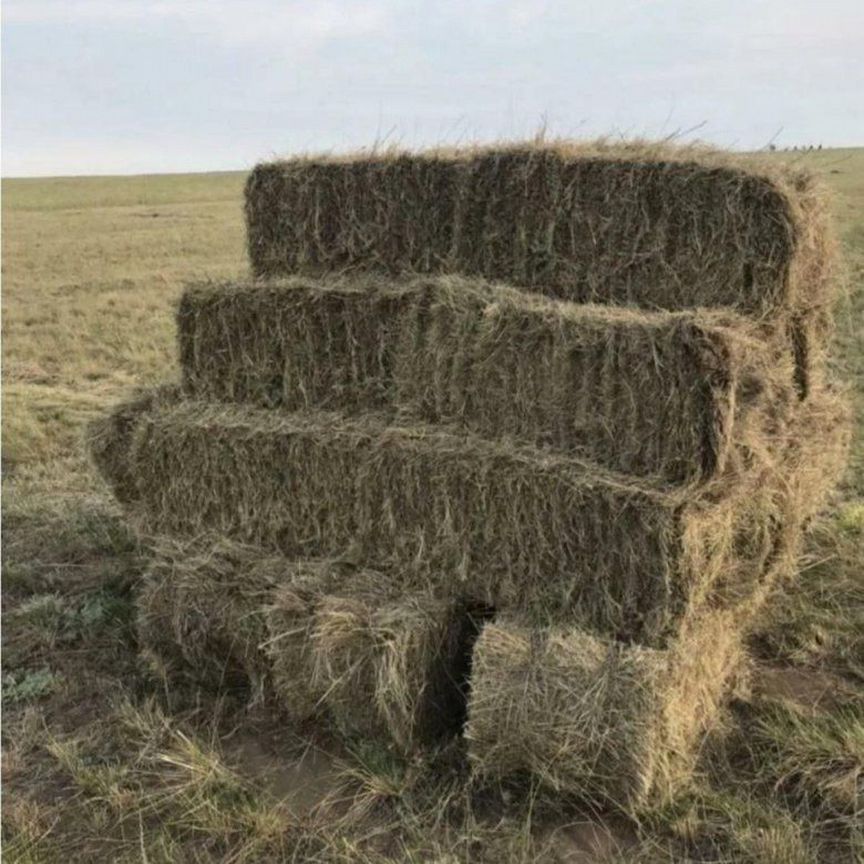 Сено в тюках