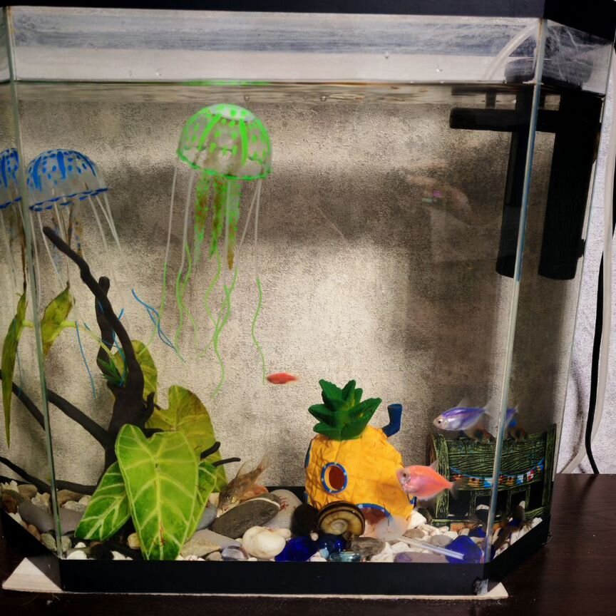 Аквариум в одни руки