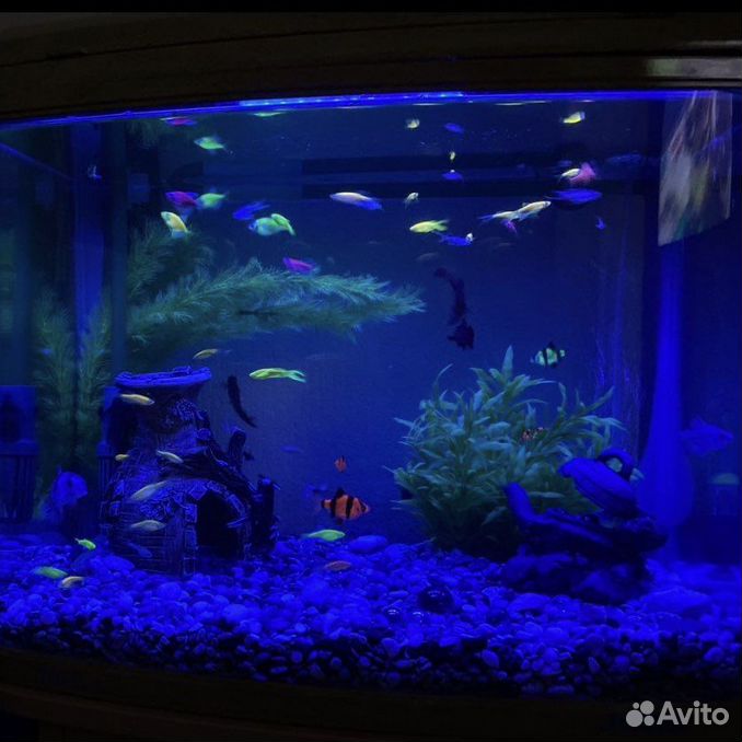 Аквариум jebo NEW R 352 67л