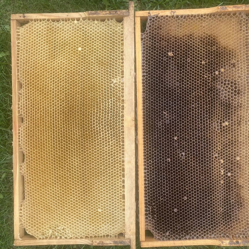 Рамка сушь для пчел