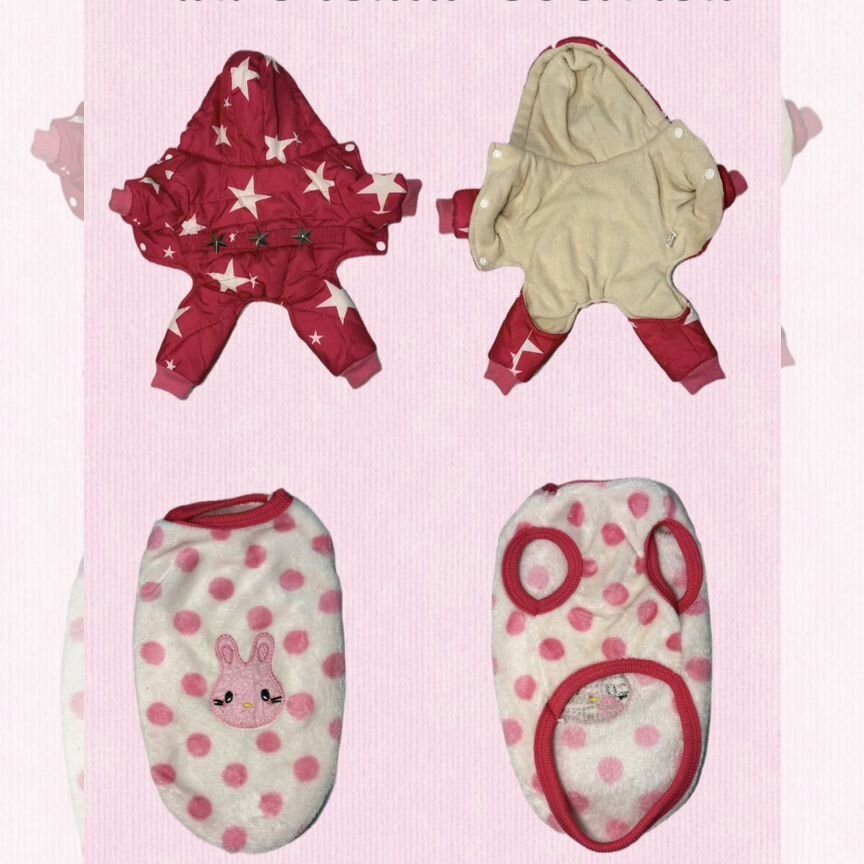 Одежда для маленькой собачки