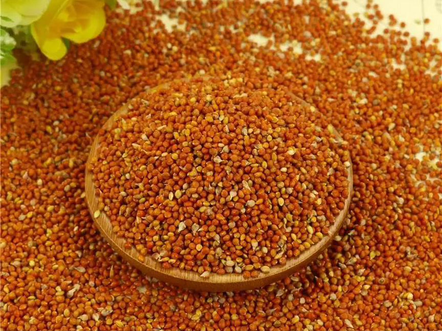 Просо красное