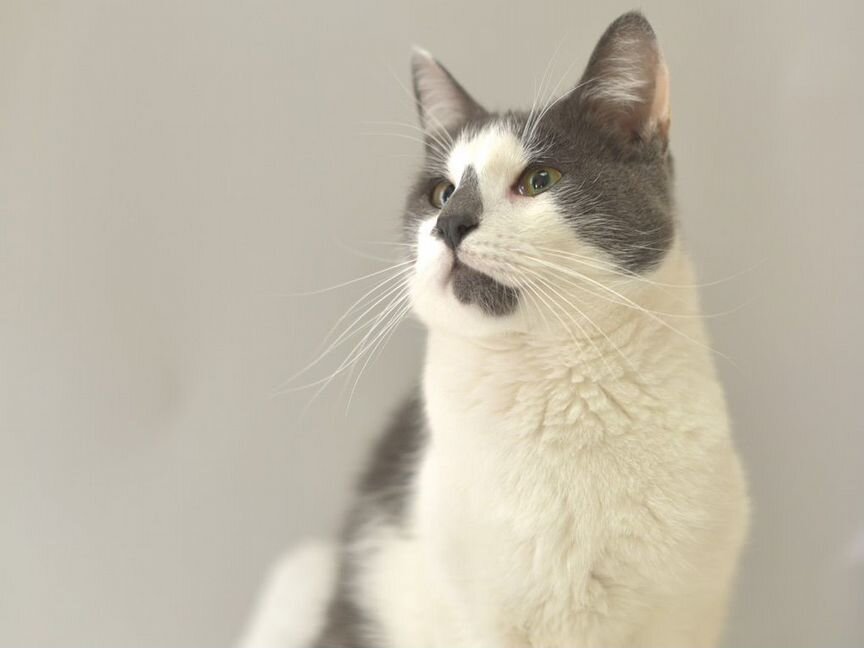 Подарите чудо оказаться дома