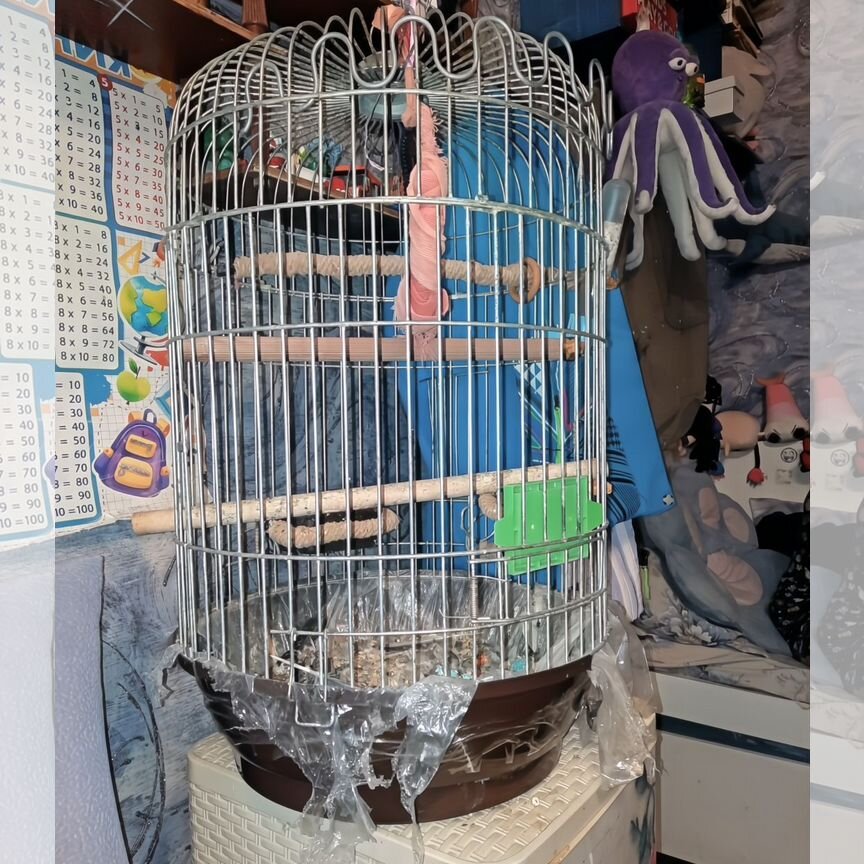 Клетка для попугая 60х40