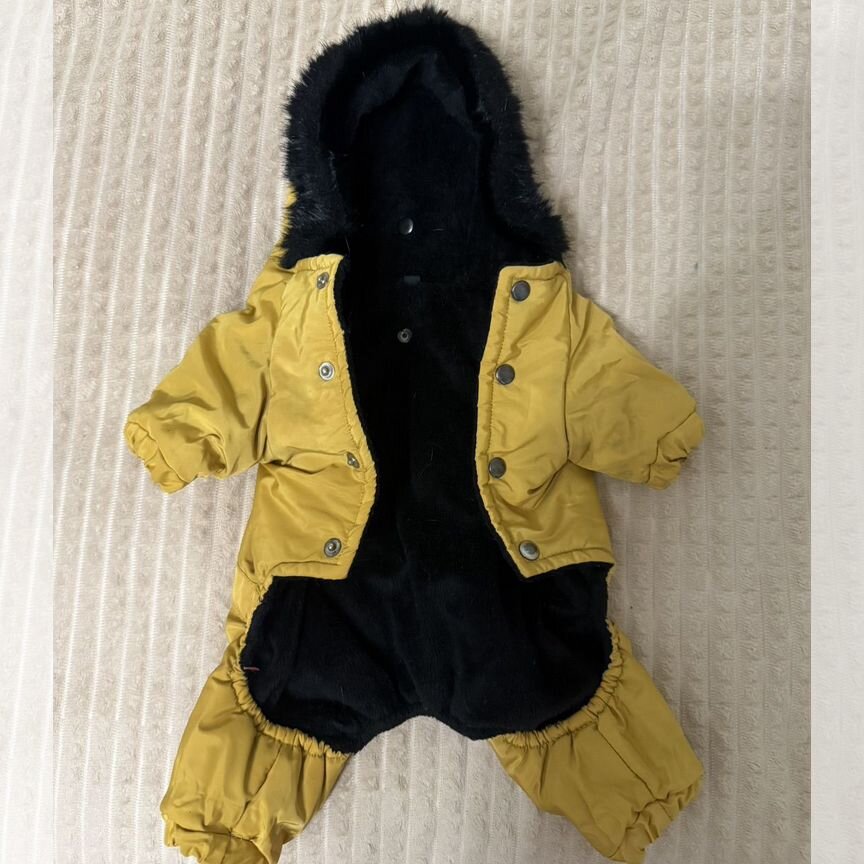 Комбинезон для чихуахуа