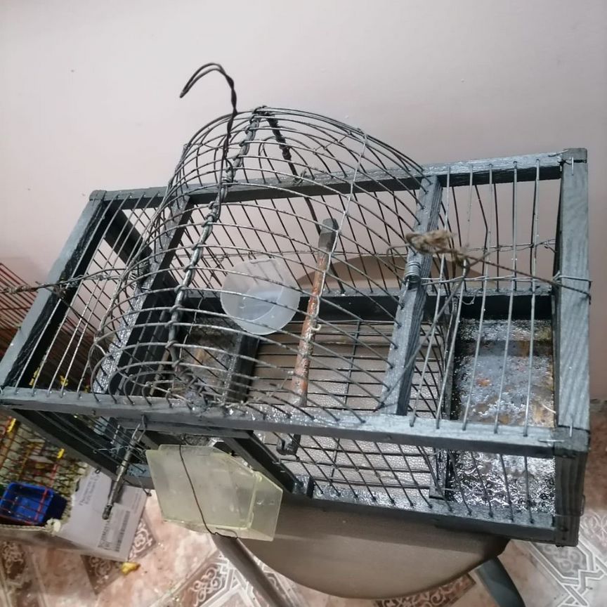 Клетка в месте щеголь